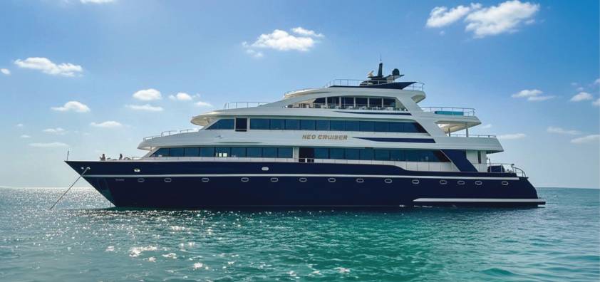 Neo Cruiser Liveaboard Website